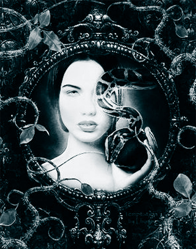 Mirror, mirror on the wall – Non-Fiction – STORIES BY XPANTHER